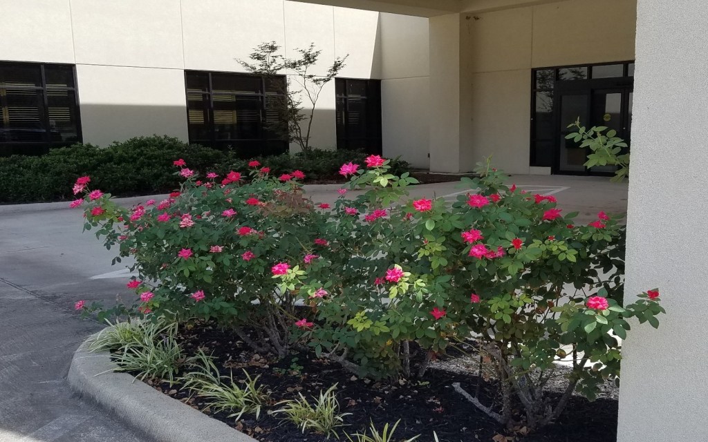 Trinity Memorial Hospital District